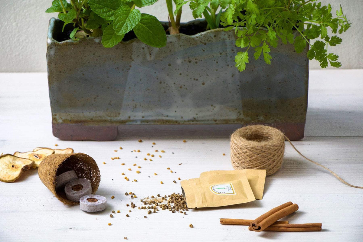 Organic Herb Seeds Gardening Kits | Sara's Garden